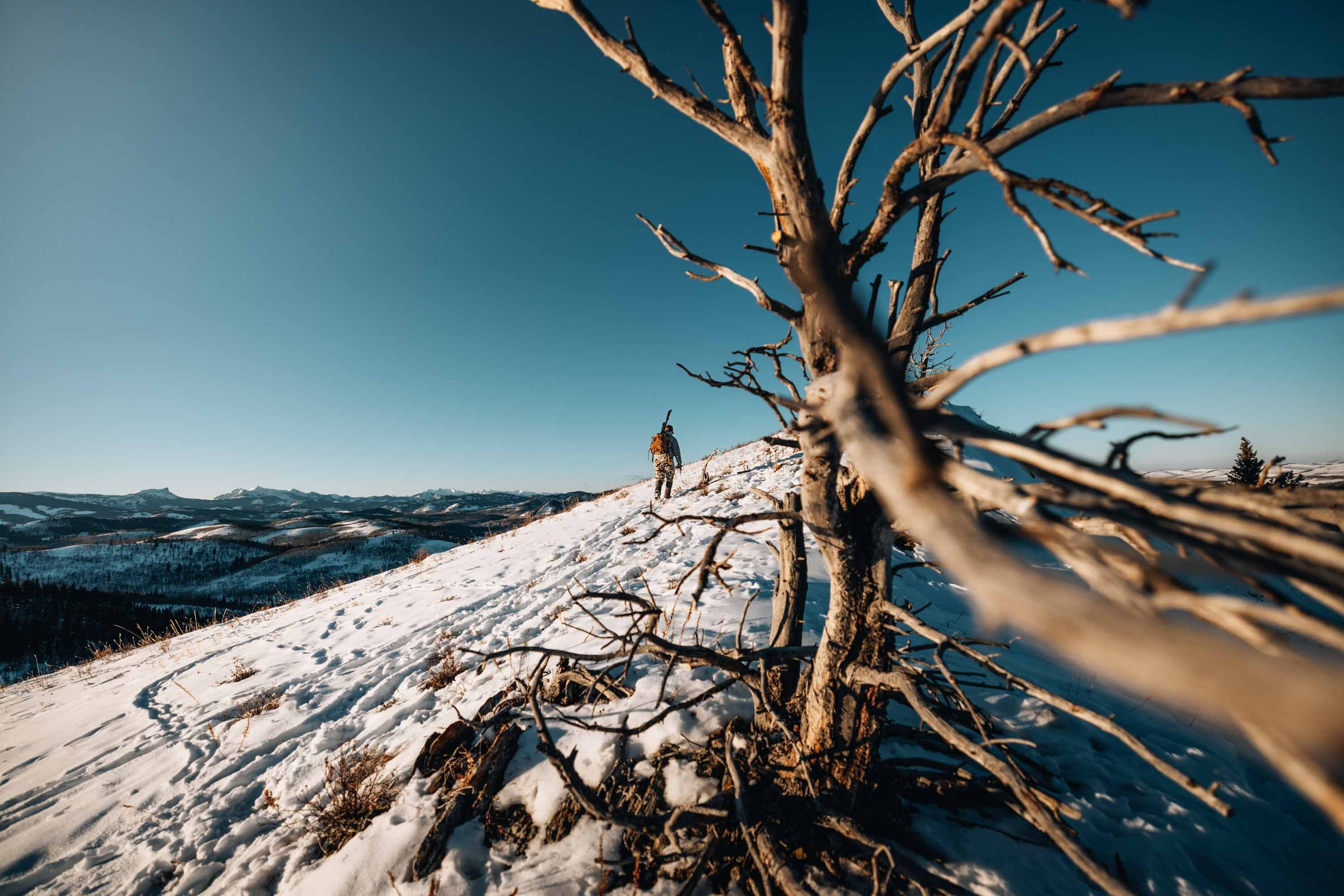 THLETE: Elevate Your Hunting Experience with Advanced Gear