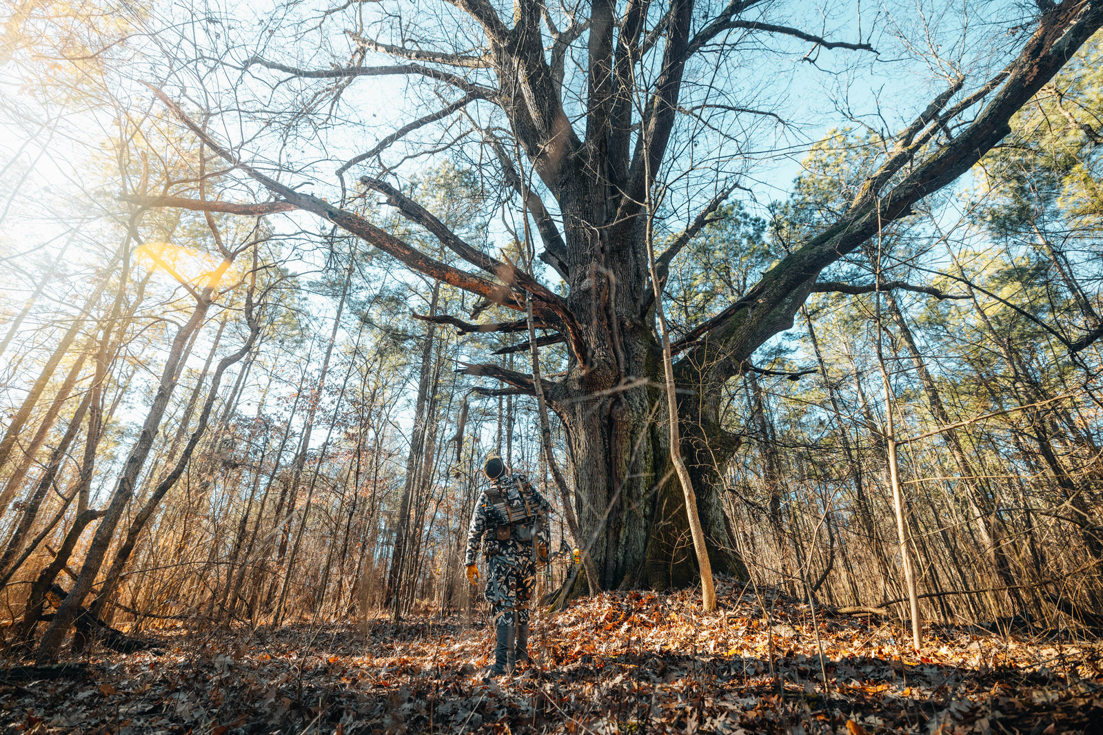 Mesh Solstice Hat | THLETE's Versatile Hunting Accessory